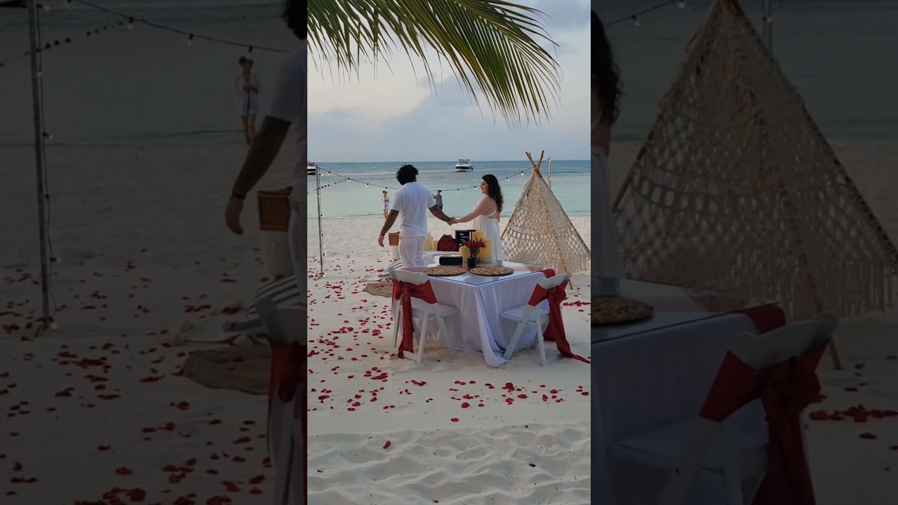 He surprised her with a picnic and romantic dinner on their first year ...